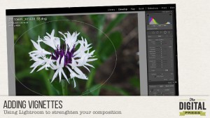 Tutorial: Adding a Vignette – The Digital Press
