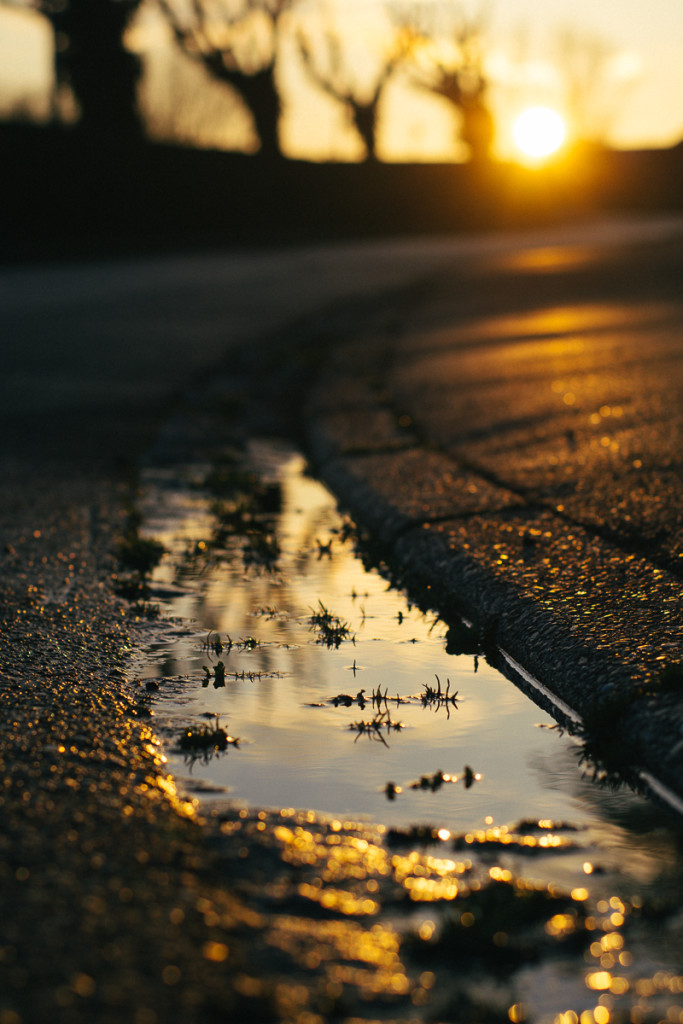 Tutorial Tuesday | Intentional Blur in photography – The Digital Press