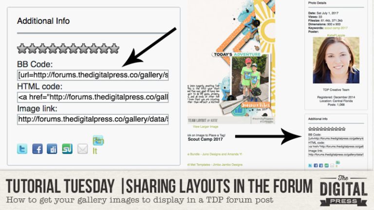 Tutorial Tuesday | Sharing Layouts in the Forum – The Digital Press
