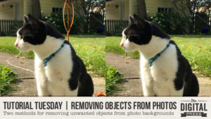 Tutorial Tuesday | Removing Objects From Photos – The Digital Press