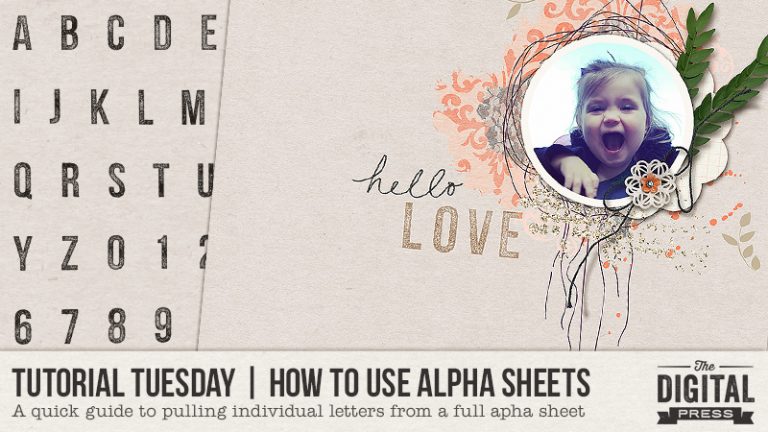 Tutorial Tuesday | How to Use Alpha Sheets – The Digital Press