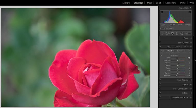Tutorial Tuesday | Editing Colors Individually – The Digital Press