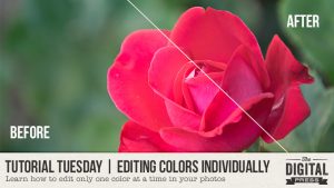 Tutorial Tuesday | Editing Colors Individually – The Digital Press