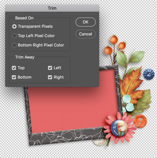 Tutorial Tuesday | Using the Trim Command in Photoshop – The Digital Press