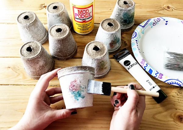 Hybrid How-To | Decorative Peat Pots – The Digital Press