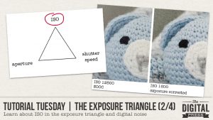 Photography Tips – The Digital Press